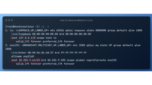 3 Ways to Find Your IP Address in Linux - howtouselinux
